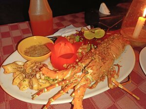 Gecko Restaurant (Goa, North Goa County, Pernem Subdistrict, Town of Arambol), restoran  Goa'dan