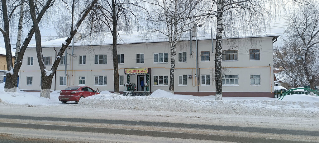 Çiçekçiler Цветы, Nijegorodskaya oblastı, foto