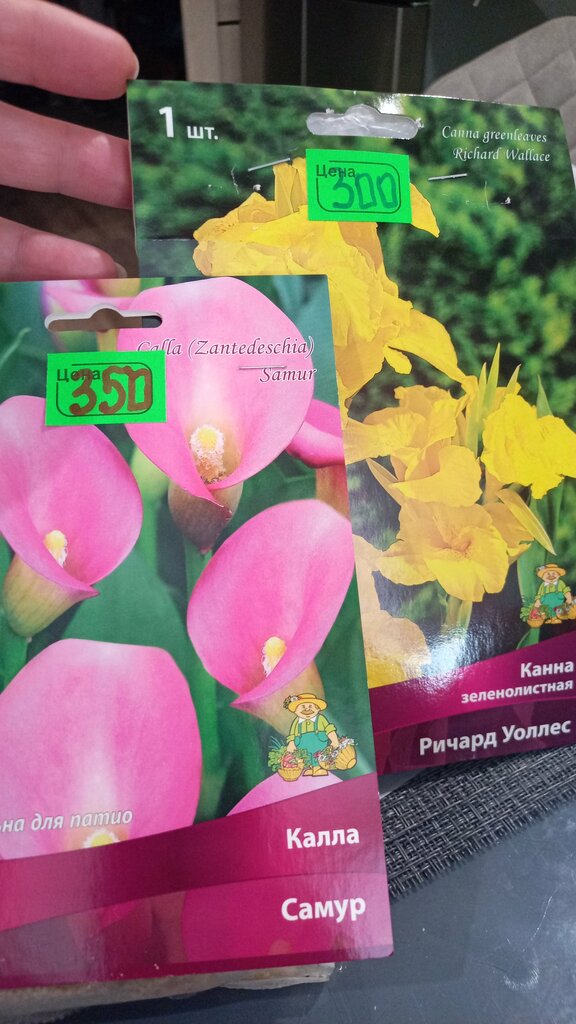 Tohum satan yerler Магазин семян и удобрений, Novosibirsk, foto