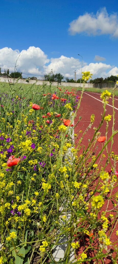 Spor alanı Футбольное поле, Kırım Cumhuriyeti, foto