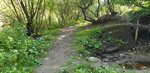 Spring, stream (Smolenskiy munitsipalny okrug, derevnya Altukhovka), pınar, çay  Smolenskaya oblastından