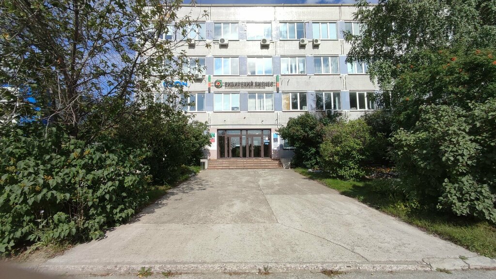 Soba, şömine AcademTeplo, Novosibirsk, foto