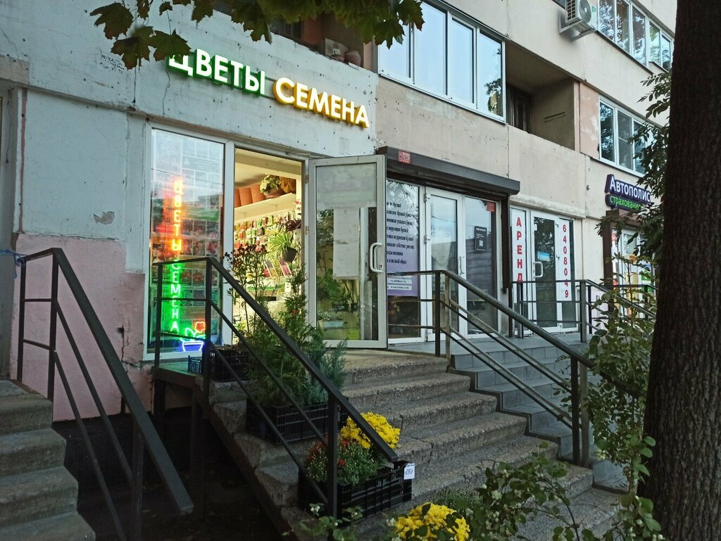 Bahçecilik mağazaları Цветы и Семена, Saint‑Petersburg, foto