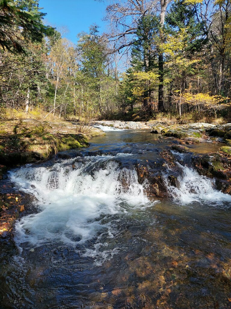 Doğa koruma alanı Sikhote-Alin Nature Reserve, Primoriye, foto