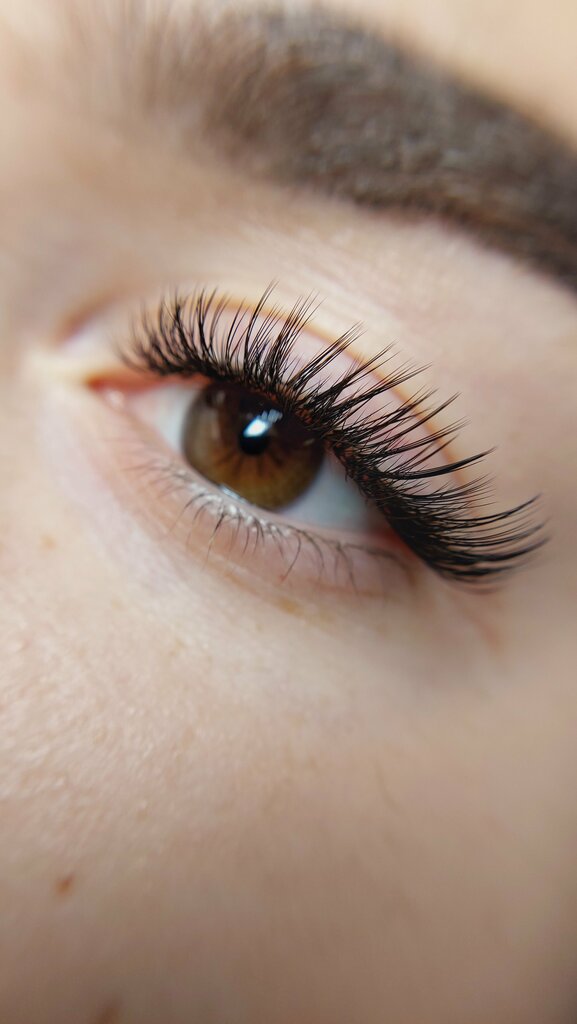Kaş ve kirpik salonu Lashes & Brows, Krasnodar, foto