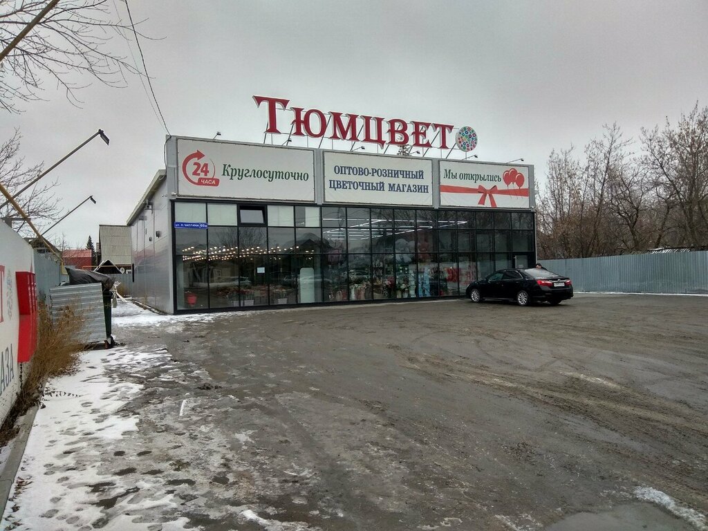 Çiçekçiler Тюмцвет, Tiumen, foto
