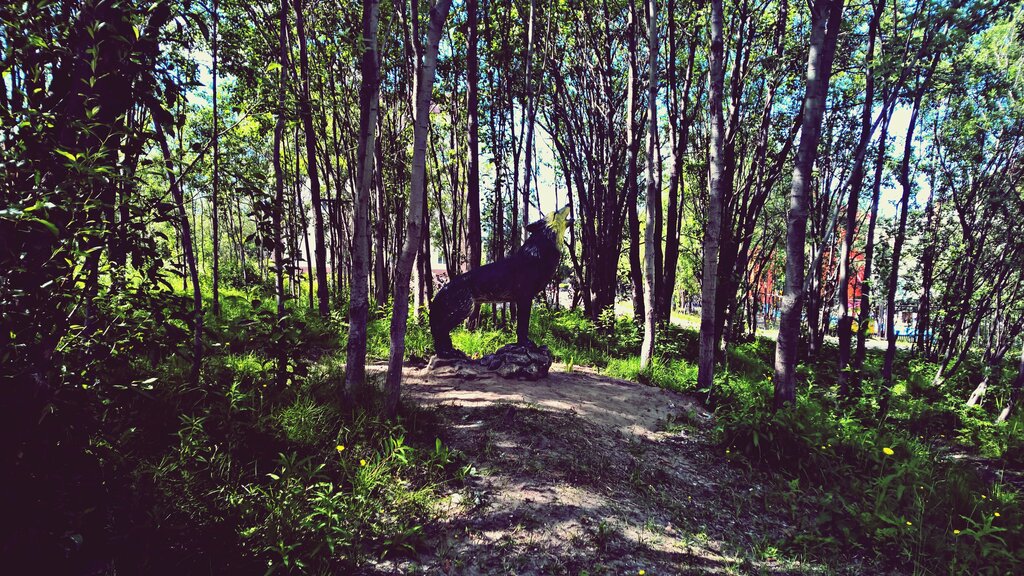 Park, sokak heykeli Волк, Murmanskaya oblastı, foto