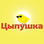 Tsypushka (ulitsa Barnaulskiy trakt No:23), petshop  Kamen‑na‑Obi'den