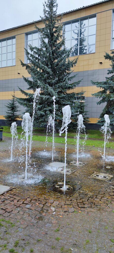 Çeşme Fountain, Bogorodsk, foto