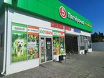 Зоомагазин (ulitsa Shevchenko No:55, zhiloy massiv Pashkovskiy), petshop  Krasnodar'dan