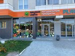 ВкусноЛето (Chkalova Street No:231), market  Yekaterinburg'dan