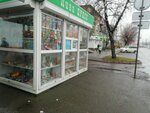 Liga Press (ulitsa imeni Geroya Sovetskogo Soyuza Vasilyeva No:77), gazete bayi  Biysk'ten