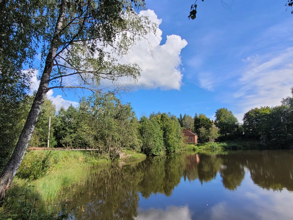 Kültür ve eğlence parkları парк усадьбы Тосики, Saint‑Petersburg ve Leningradskaya oblastı, foto
