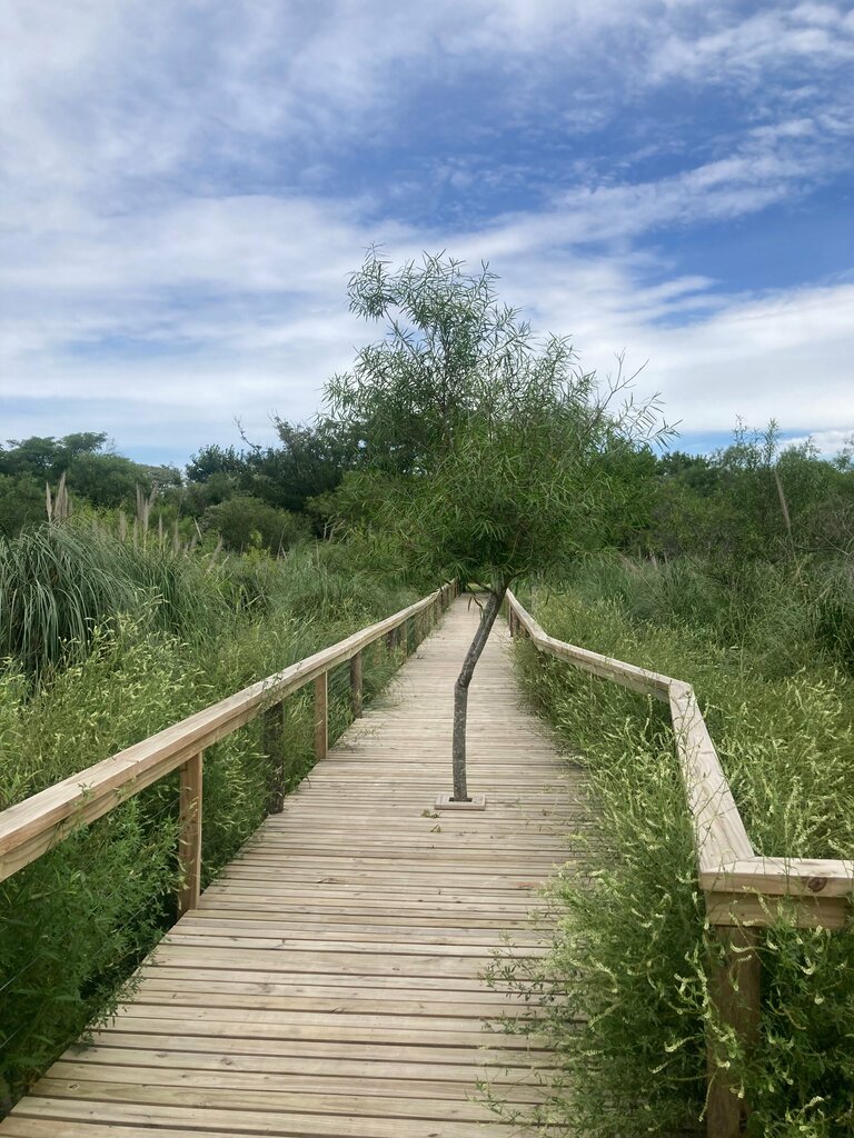 Kültür ve eğlence parkları Reserva Ecológica Costanera Sur, Buenos Aires, foto