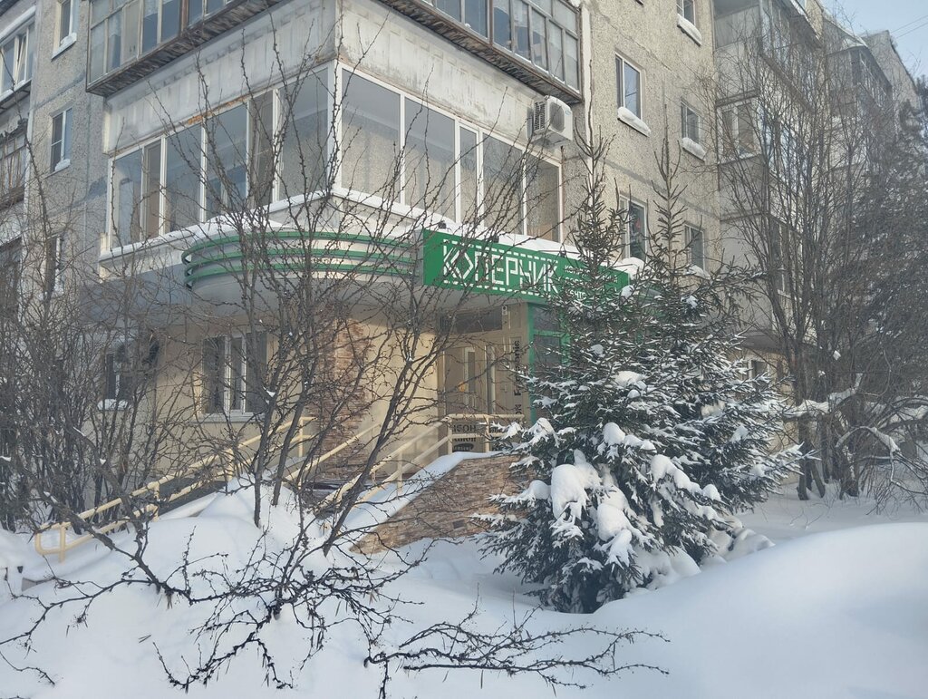 Elektronik ofis ekipmanları sarf malzemeleri Kopernik, Niagan, foto