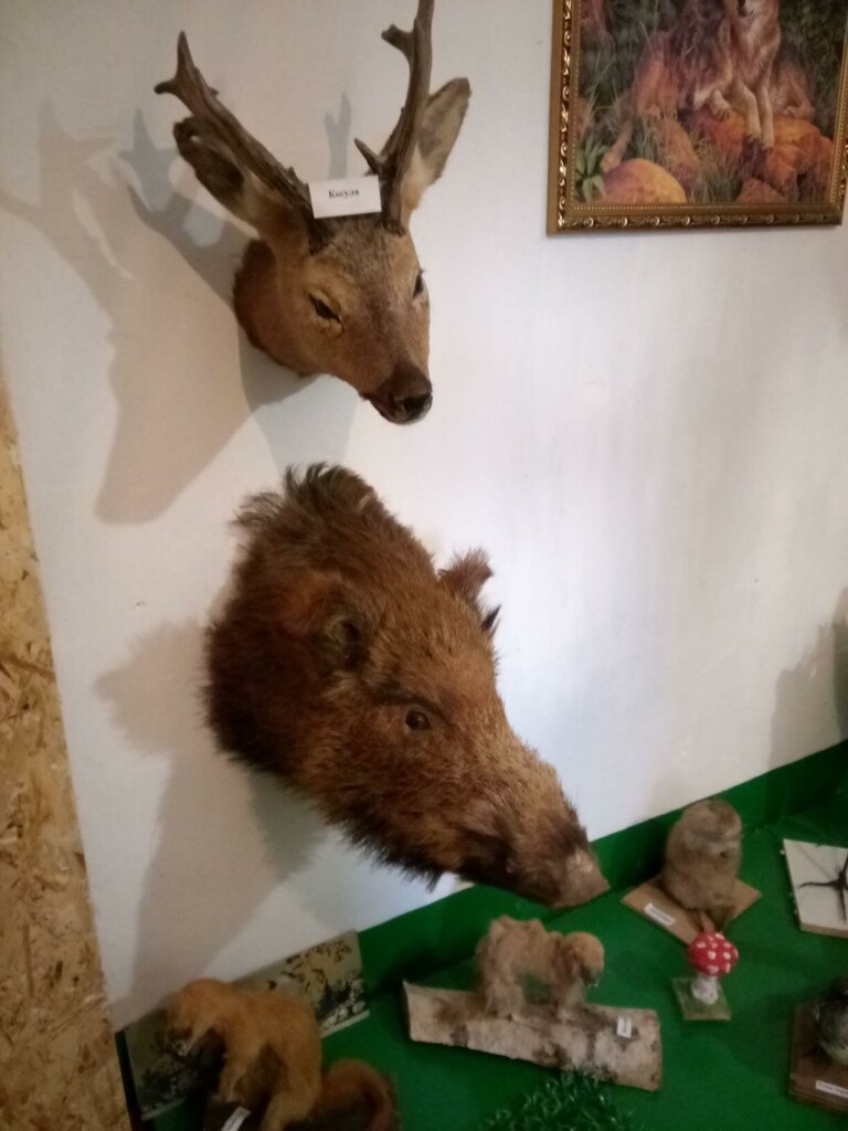 Müzeler ve sanat galerileri Krayevedchesky muzey, Makuşino, foto