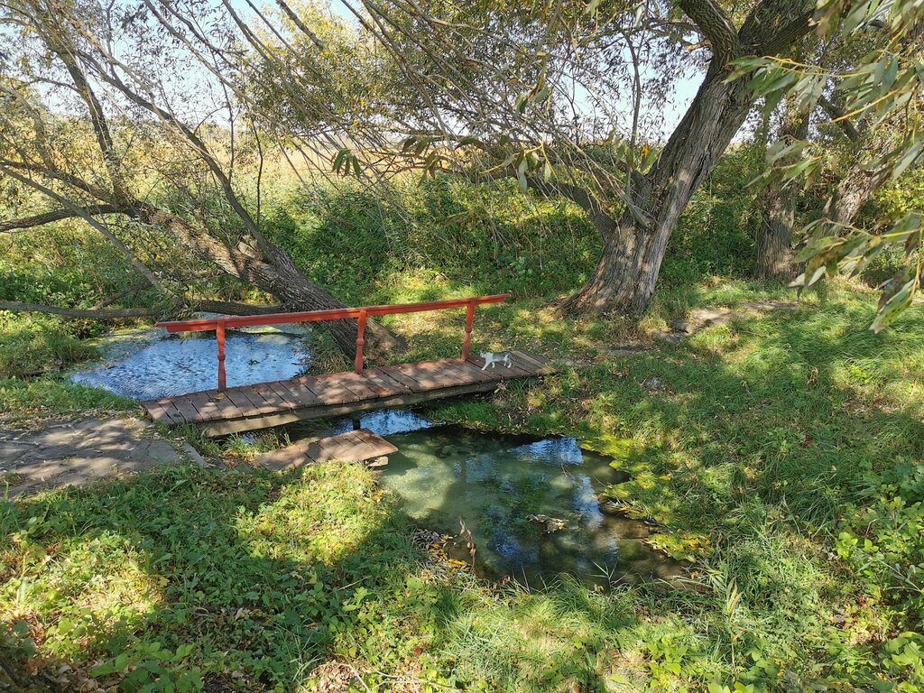 Şapel, haç anıtı Купель, Voronejskaya oblastı, foto