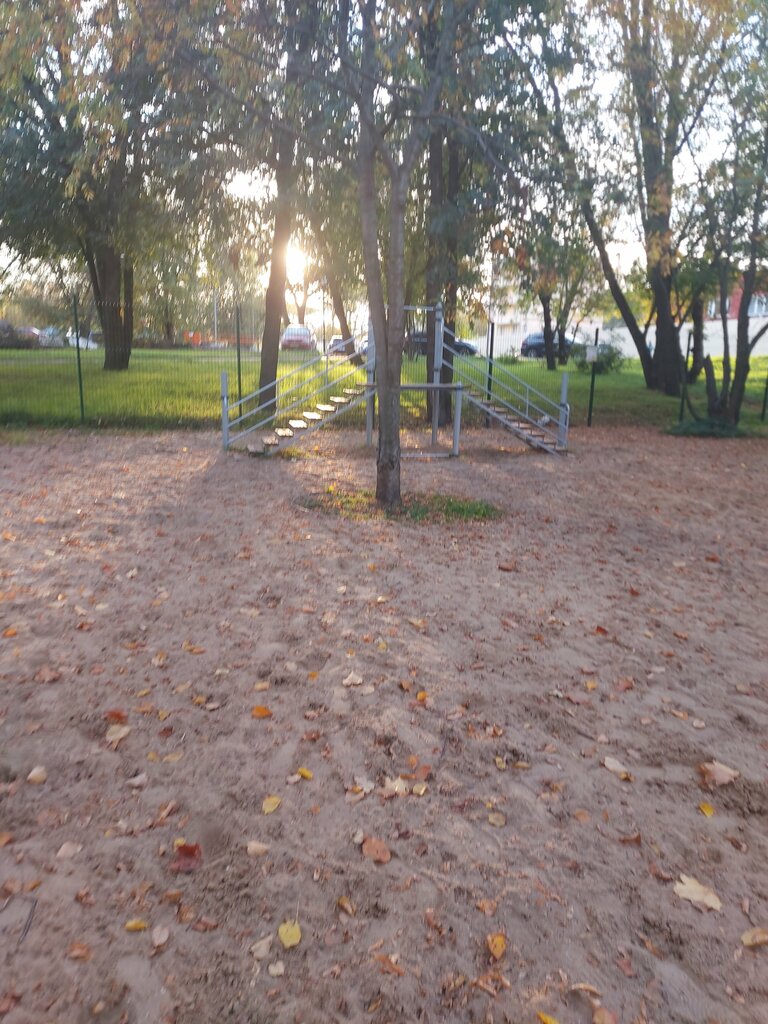 Köpek gezdirme alanları Dog park, Moskova, foto