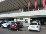 J&b Jewellery (Sadguris Square No:2), değerli taşlar  Tiflis'ten