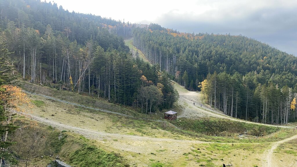 Piknik alanı Place for picnic, Sakhalinsk, foto