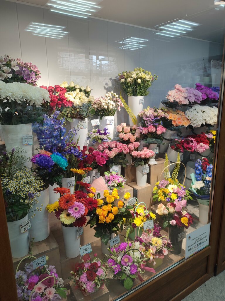 Çiçekçiler Cvettochki, Vologda, foto