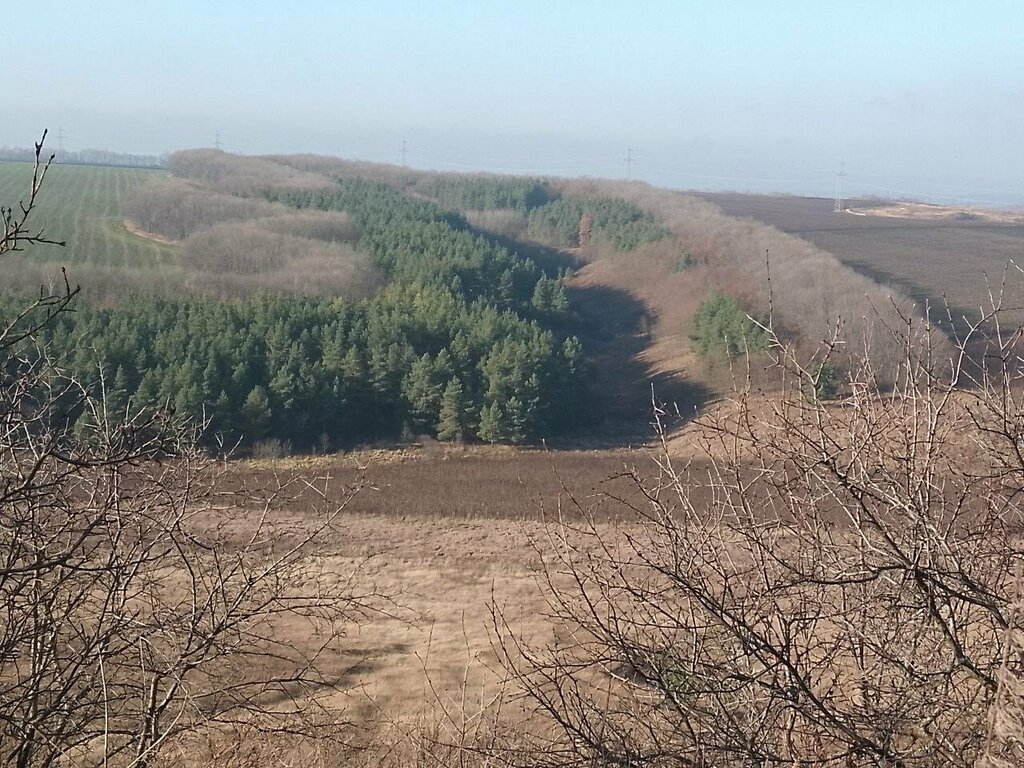 Orman Урочище Пристенок, Belgorodskaya oblastı, foto