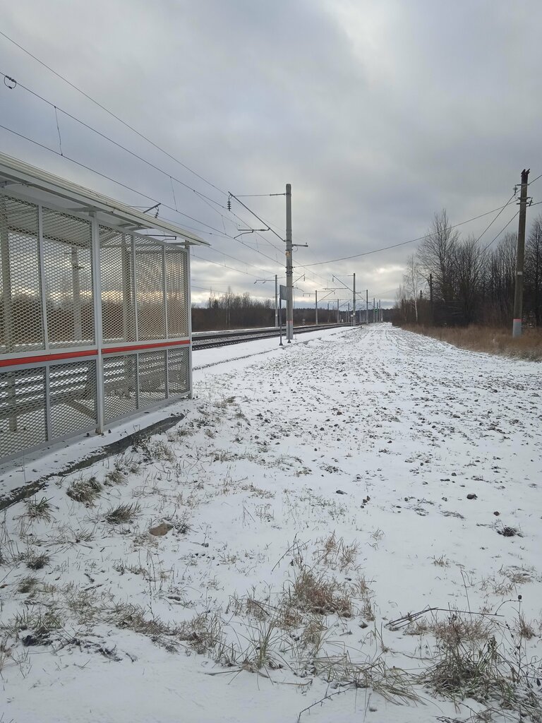 Tren istasyonu Zikeyevo, Kalujskaya oblastı, foto