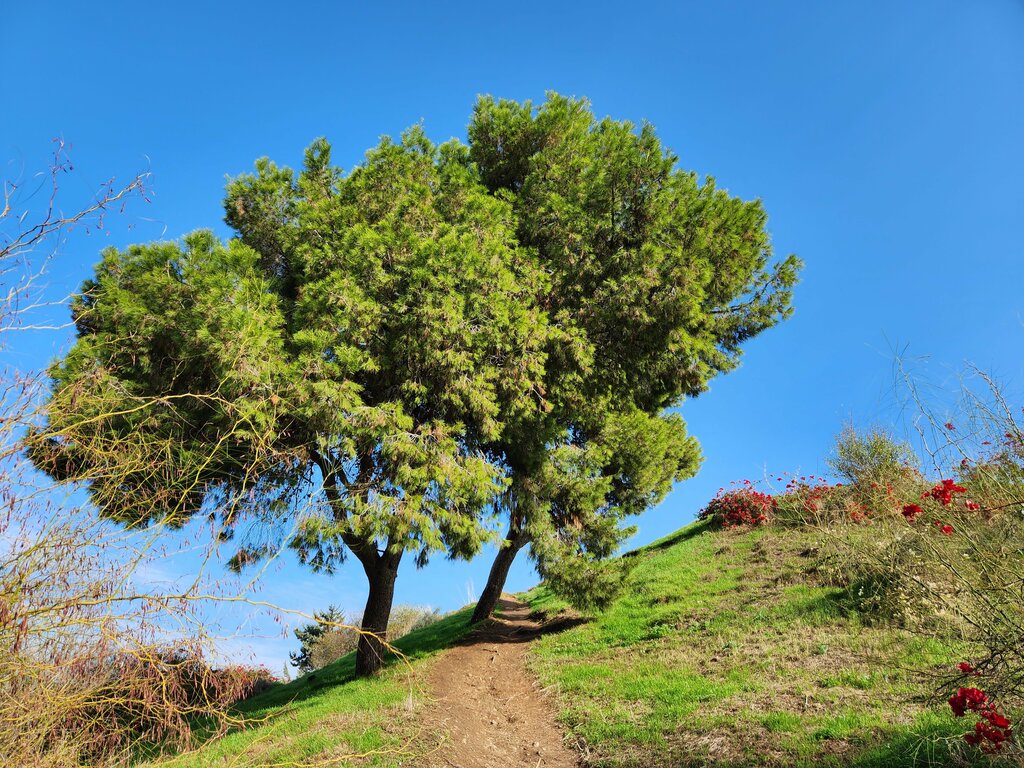 Kültür ve eğlence parkları Yarkon Parkı, Tel Aviv, foto