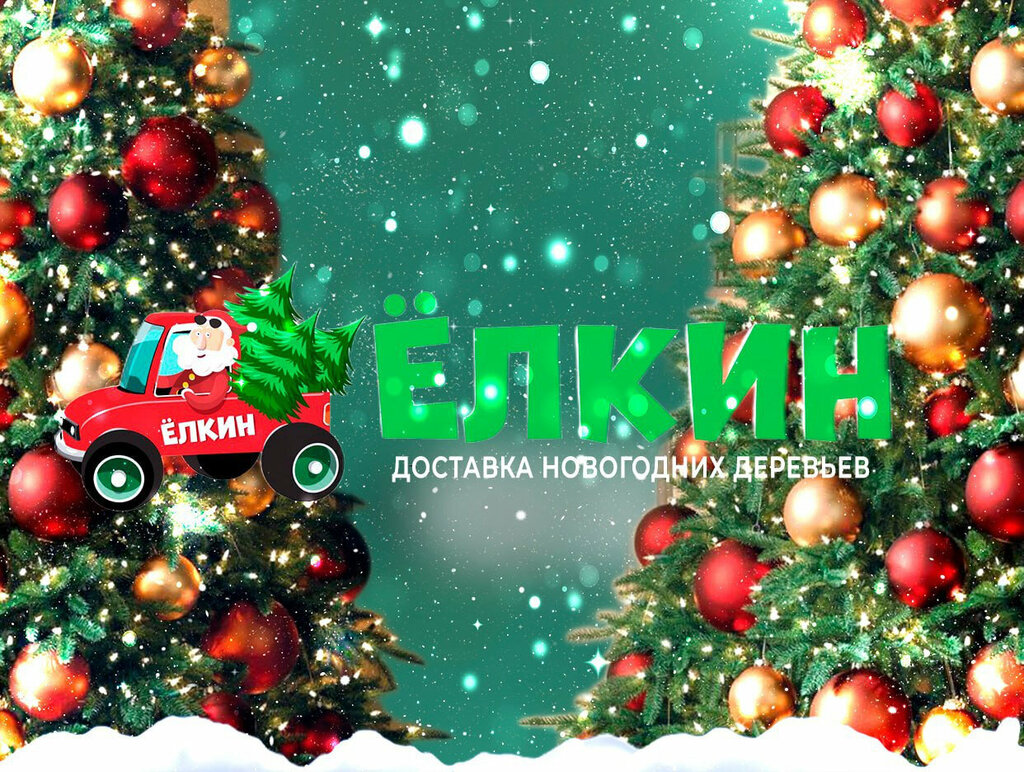 Çam ağacı pazarı Elkin-Express, Saint‑Petersburg, foto