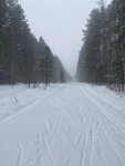 Снежинка (1st Lesnaya Street No:36), kayak merkezleri  Kuznetsk'ten