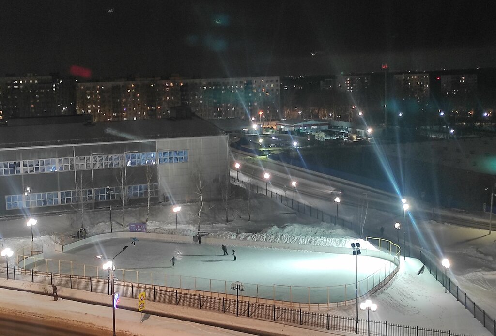 Buz pateni pistleri Ice rink, Puşçino, foto
