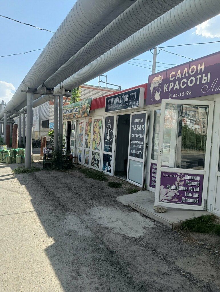 Tütün, sigara mağazaları Stavropol tobacco, Stavropol, foto