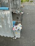 Трудовая улица (Sverdlovsk Region, Sysertskiy munitsipalny okrug, posyolok Bolshoy Istok, Trudovaya ulitsa), toplu taşıma durağı  Sverdlovskaya oblastından