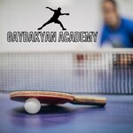 Gaybakyan Academy (Vrtanes Papazyan Street No:65), spor kulüpleri  Erivan'dan
