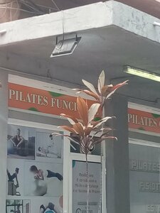 Plates clínico (Luanda, Rua da Tipografia Mama Tita), tıp merkezleri ve klinikler  Loanda'dan