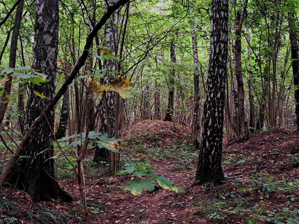 Turistik yerler Курганы вятичей XI-XIII веков., Moskova, foto