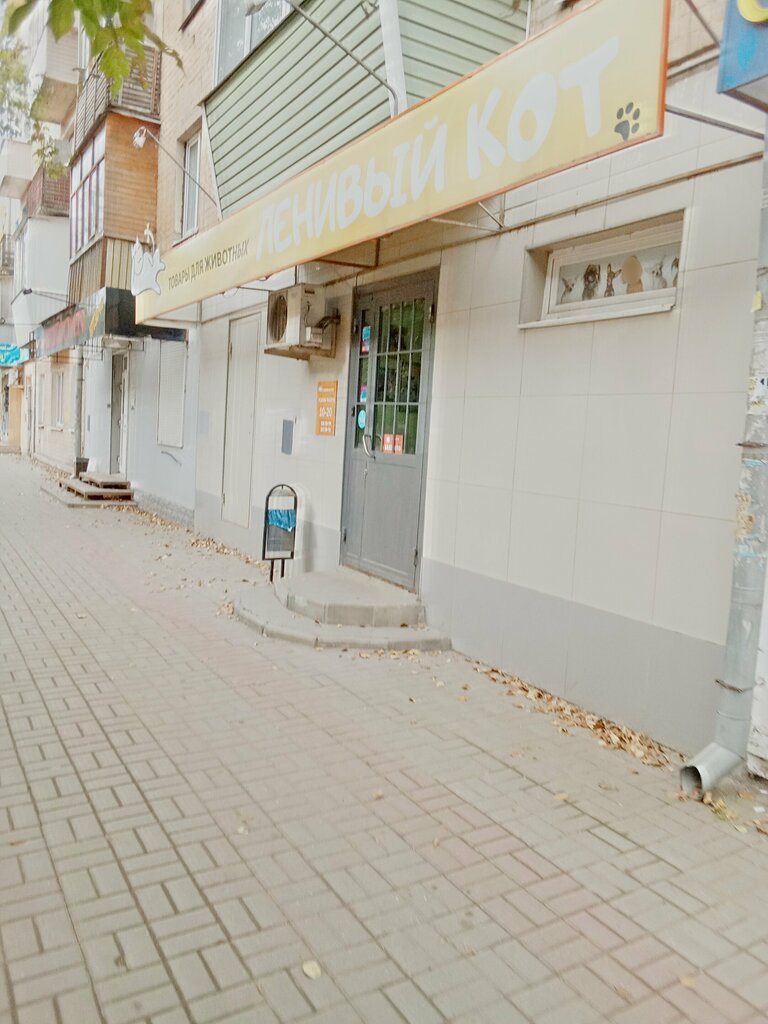 Petshop Lenivy Kot, Kaluga, foto