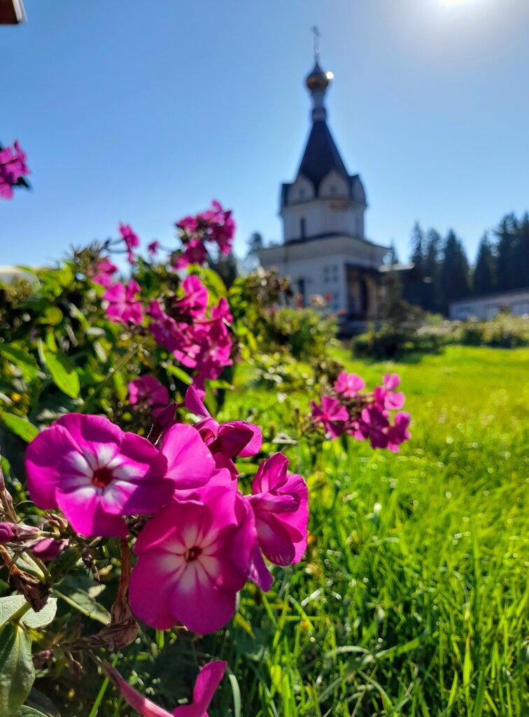 Ortodoks kiliseleri Церковь иконы Божией Матери Экономисса, Tverskaya oblastı, foto