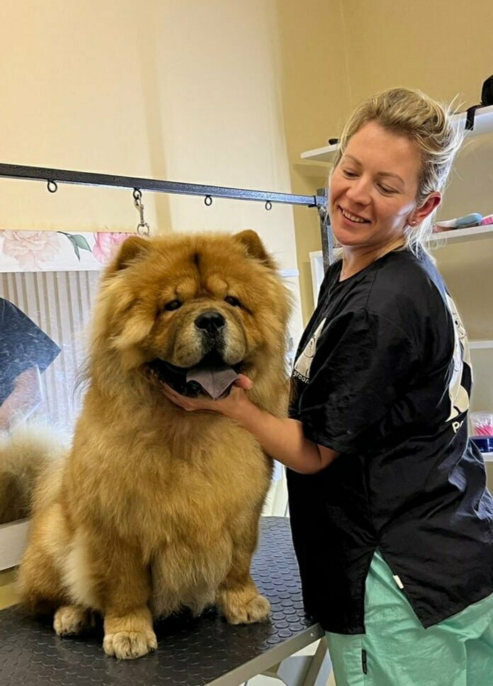 Evcil hayvan kuaförleri Pet Grooming, Kaluga, foto