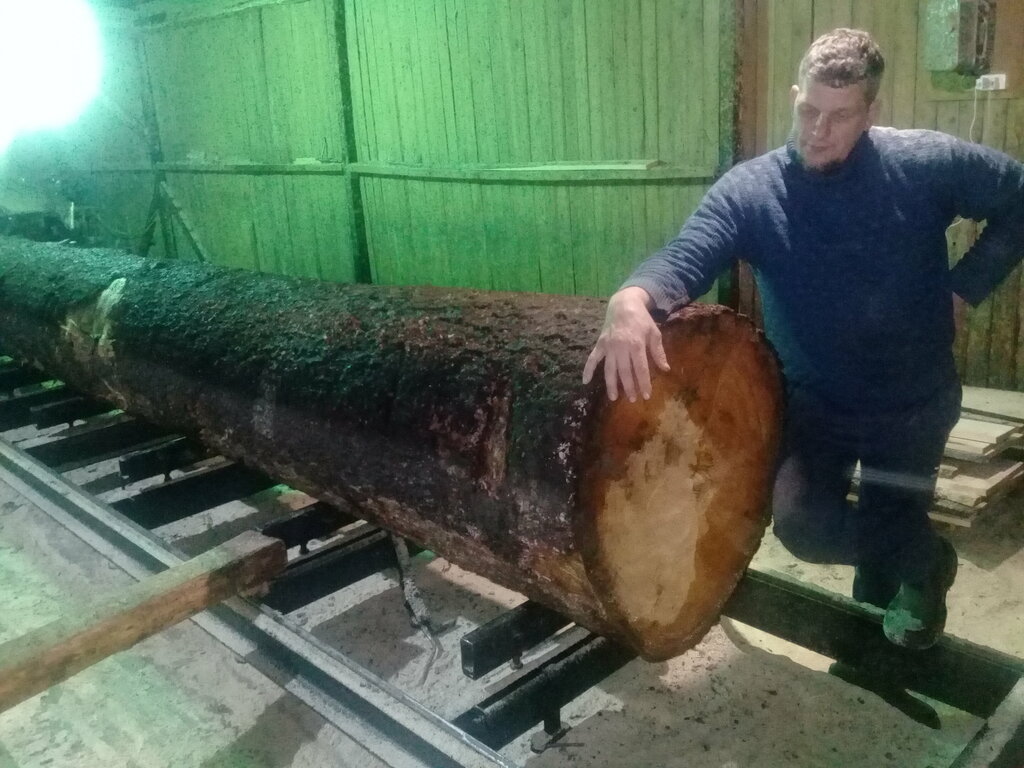 Ahşap endüstrisi Деревообрабатывающее предприятие, Tverskaya oblastı, foto