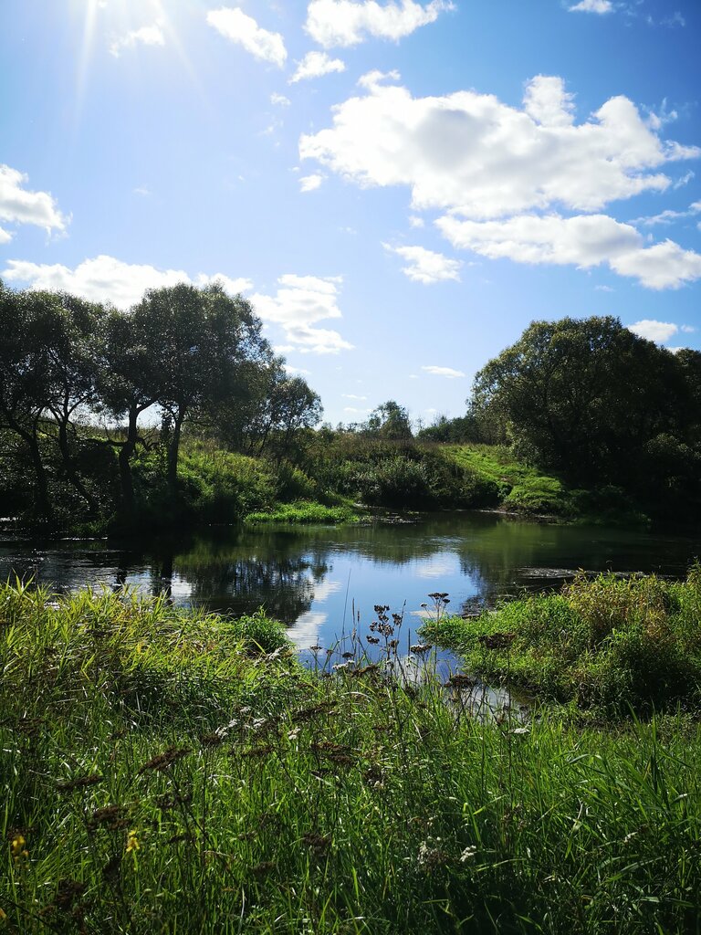 Plaj Пляж, Kalujskaya oblastı, foto