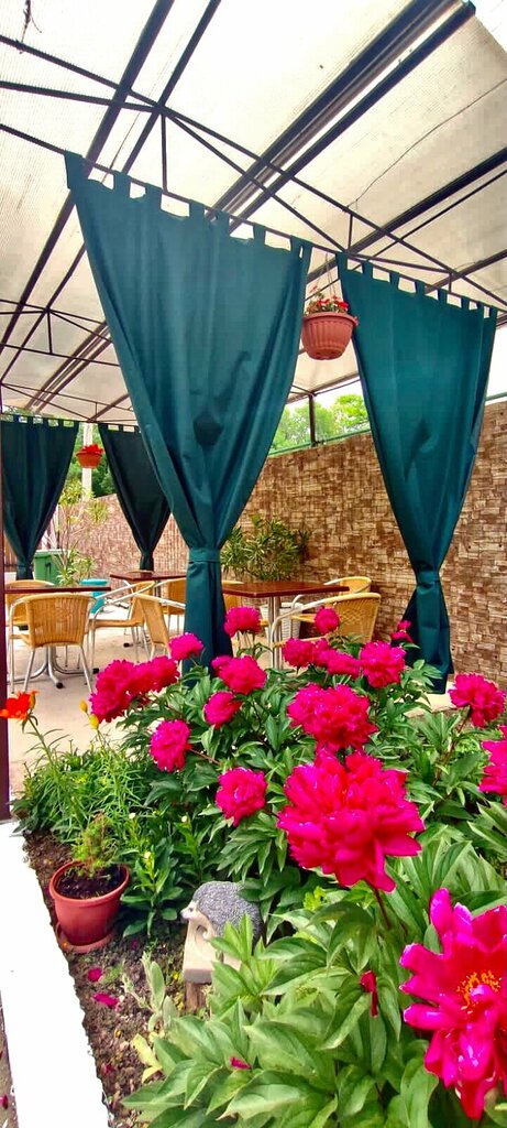 Konuk evi U Alexandra, Krasnodarski krayı, foto