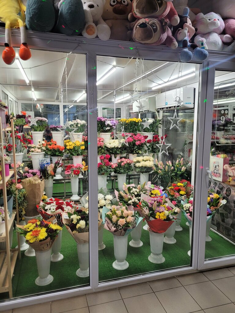 Çiçekçiler Flora, Omskaya oblastı, foto