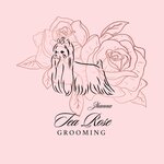 Tea Rose (Sovetskaya ulitsa No:48, rabochiy posyolok Dalneye Konstantinovo), evcil hayvan kuaförleri  Nijegorodskaya oblastından