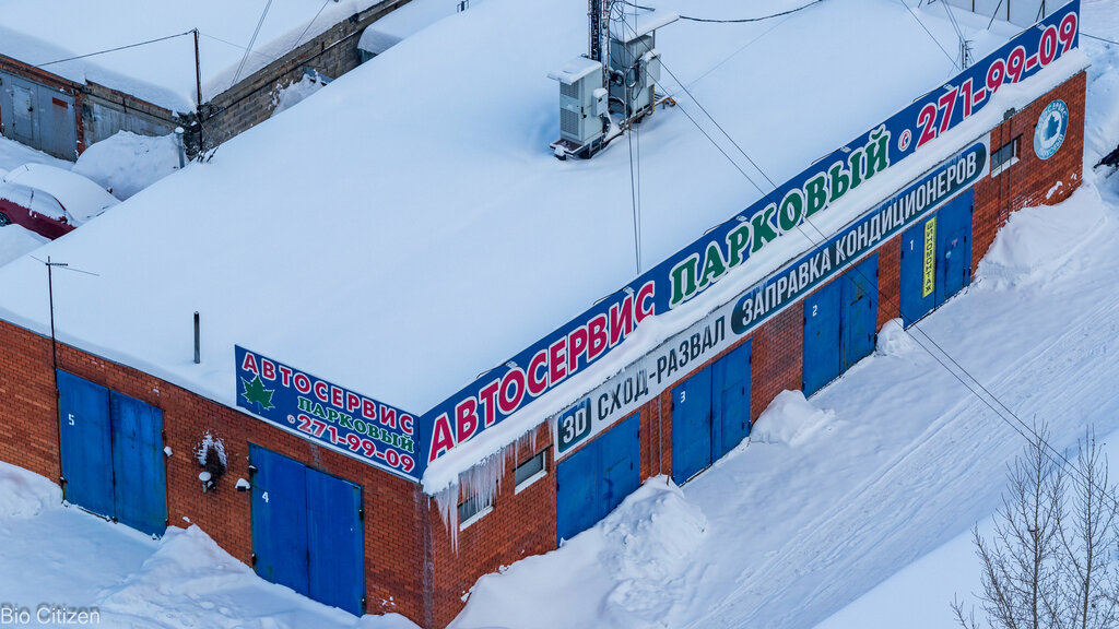 Otomobil servisi Avtoservis Parkovy, Çeliabinsk, foto