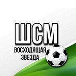 Voskhodyashchaya zvezda (KIMa Avenue No:1А), spor okulları  Saint‑Petersburg'dan