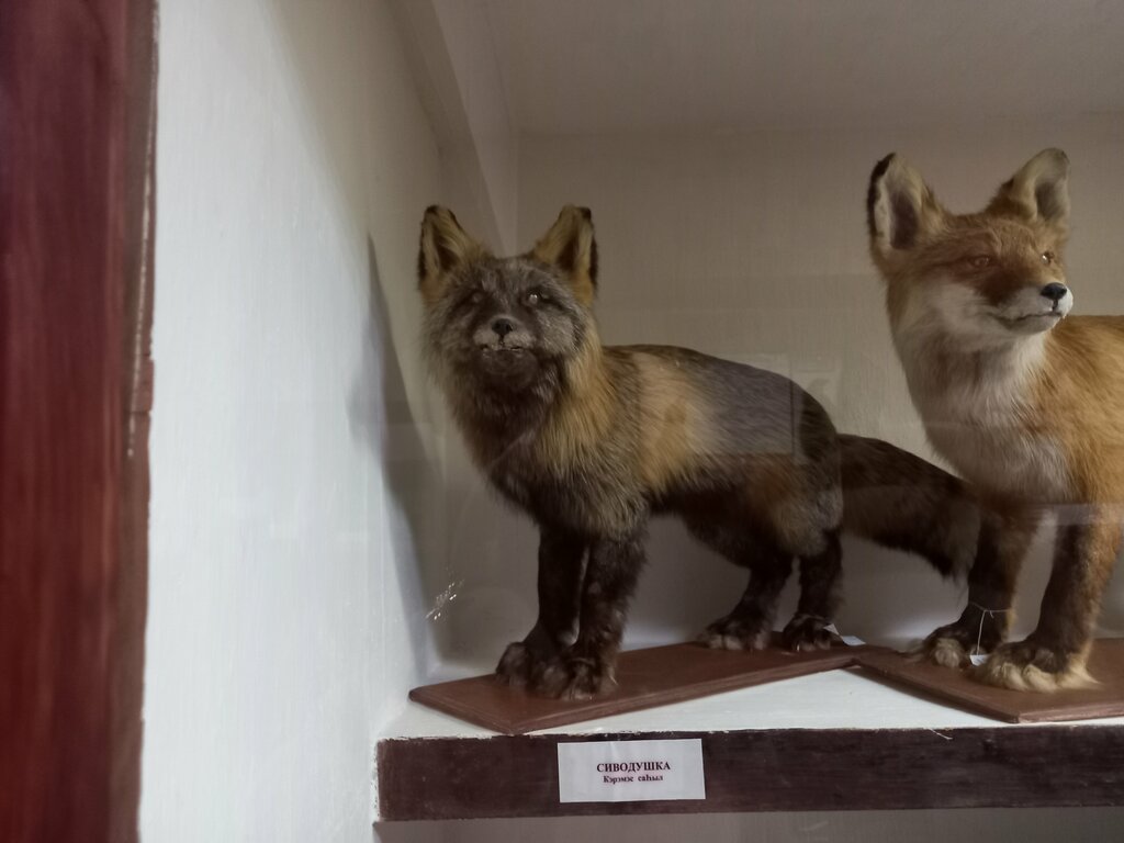Müzeler ve sanat galerileri Эльгяйский региональный музейно-экологический центр имени Б.Н. Андреева, Saha Cumhuriyeti (Yakutistan), foto