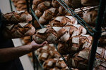 For The Love Of Bread (67/2, Al Jreena Street, Al Quoz Industrial 3, Al Quoz Industrial, Hadaeq Mohammed Bin Rashid, Dubai), ekmek fırını