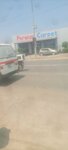 Persian Carpet (Lusaka, Lusaka, Kalingalinga, Ostrich Road, 48), yapıştırıcı üreticileri  Lusaka'dan