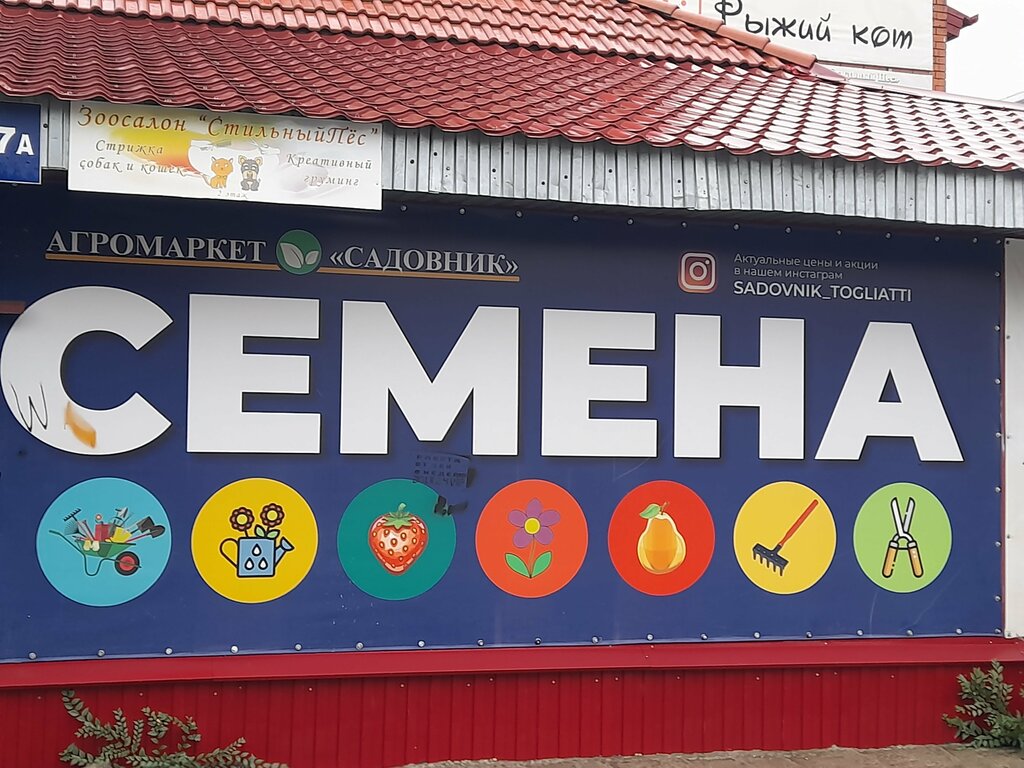 Tohum satan yerler Садовник, Tolyatti (Togliatti), foto